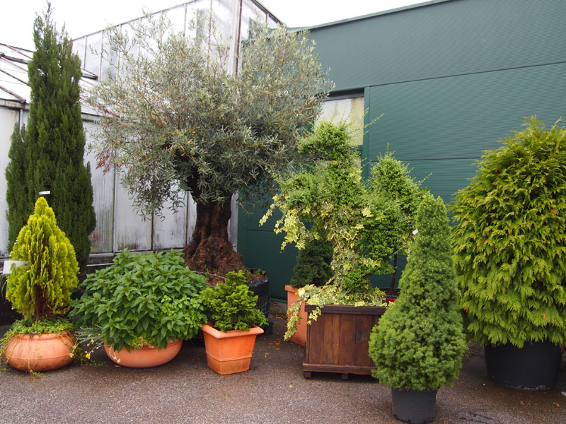 Zrinjevac - Vrtni centar Zrinjevac